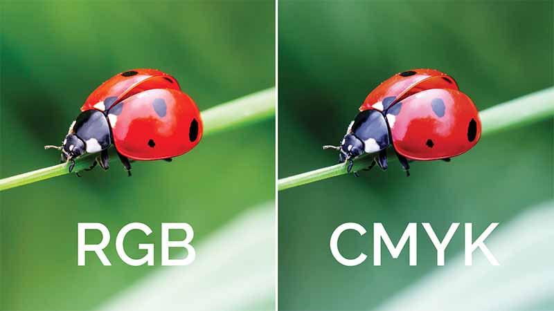 Cmyk Là Gì Rgb Là Gì Phân Biệt Hệ Màu Cmyk Và Rgb
