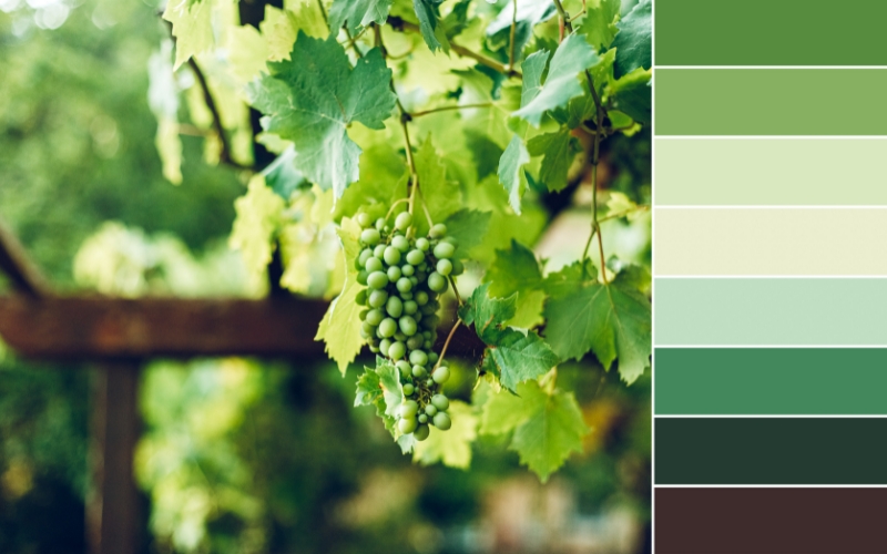 Mệnh cung phi là gì? Phân biệt mệnh cung phi với mệnh cung sinh ...