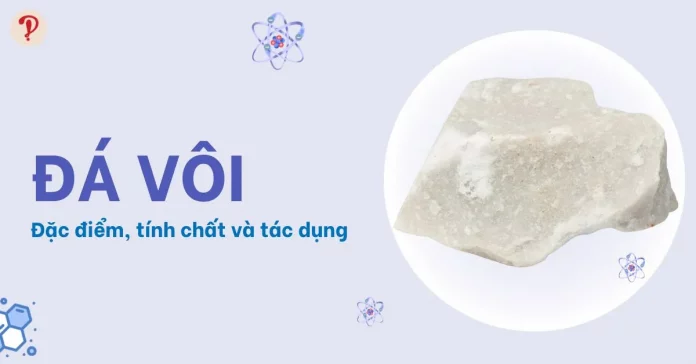 Đá vôi là gì? Đặc điểm, phân loại và ứng dụng của đá vôi – DINHNGHIA.com.vn