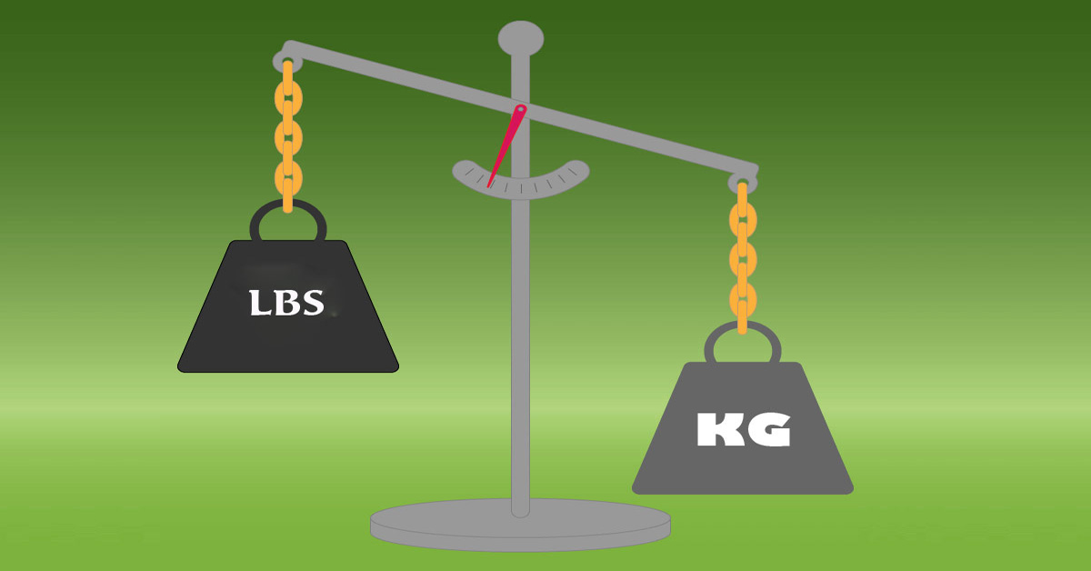 Lbs là gì? Sự ra đời của đơn vị Lbs và Cách chuyển đổi Lbs