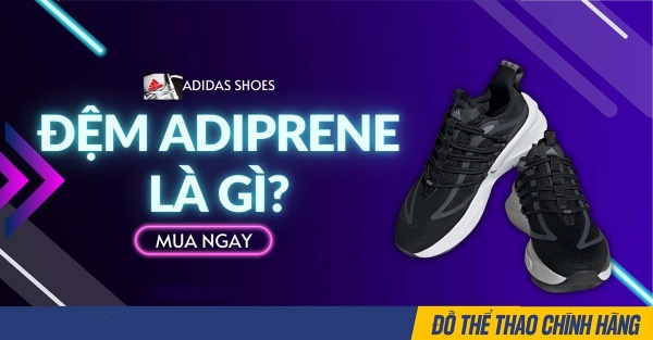 Đệm Adiprene là gì? Đặc điểm, công dụng của đệm Adiprene | DINHNGHIA.com.vn
