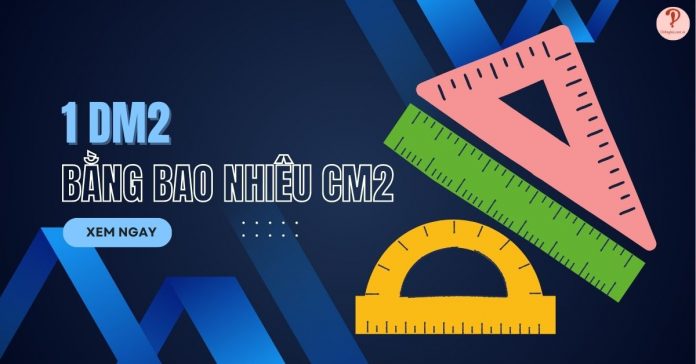 1dm2 bằng bao nhiêu cm2, m2, km2 và cách đổi 1 dm2 ra m2 – DINHNGHIA.com.vn