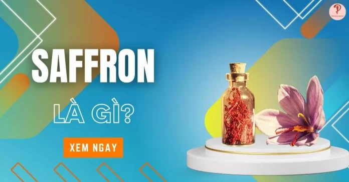 Saffron là gì? 11 tác dụng của Saffron đối với sức khỏe | DINHNGHIA.com.vn