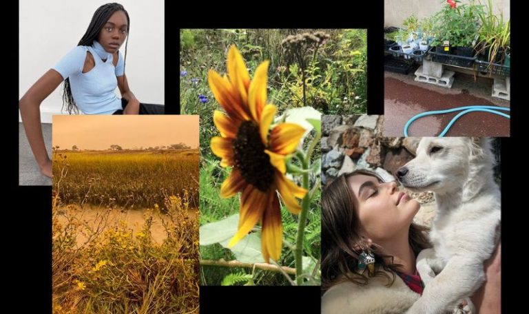 Photo dump là gì? Cách đăng ảnh Intagram chuẩn photo dump – DINHNGHIA ...