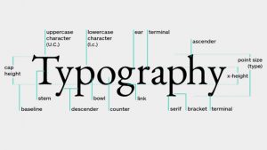 Typo là gì? Các quy tắc, cách trình bày và lỗi typo thường gặp ...