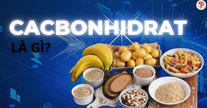 Cacbohidrat là gì? Những vai trò của cacbohidrat đối với cơ thể ...