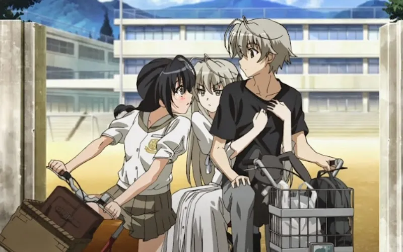 Siscon là gì? Brocon là gì? Giải thích thuật ngữ anime