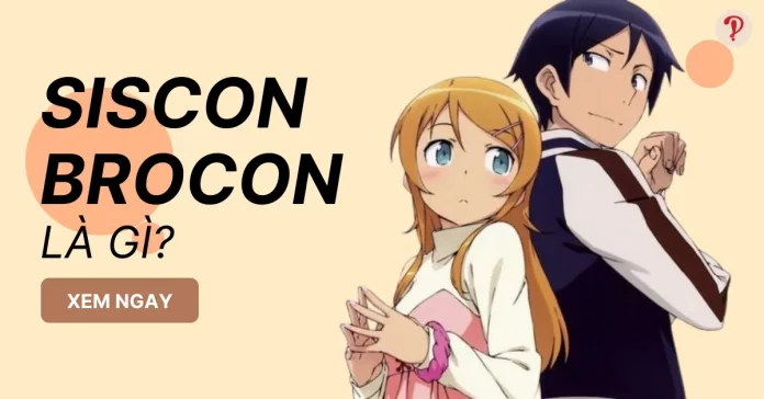 Siscon là gì? Brocon là gì? Giải thích thuật ngữ anime – DINHNGHIA.com.vn