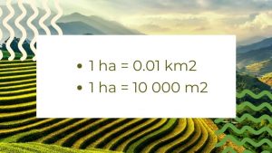 1 ha bằng bao nhiêu km2, m2? Cách đổi đơn vị hecta (ha) dễ dàng ...