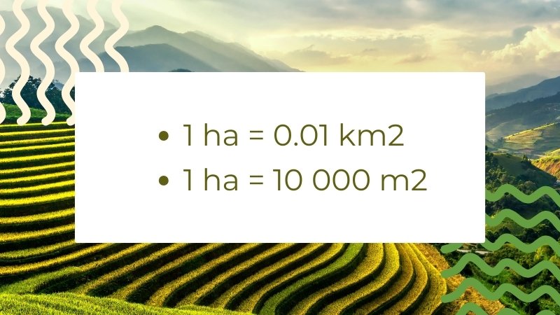 1 ha bằng bao nhiêu km2, m2? Cách đổi đơn vị hecta (ha) dễ dàng ...